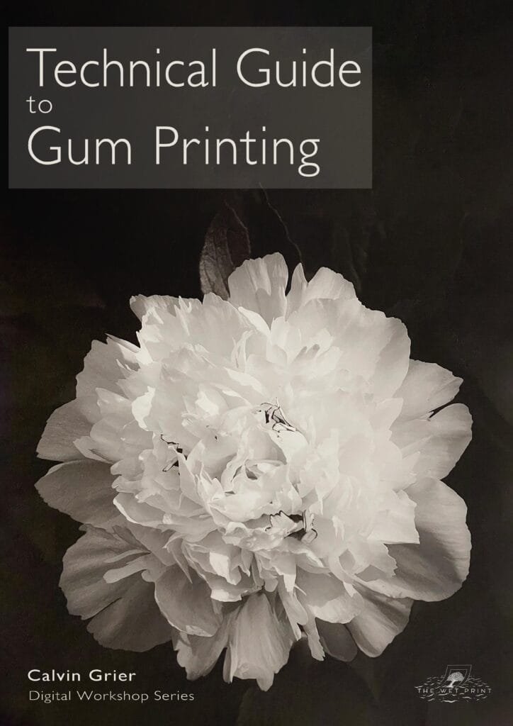Technical Guide to Gum Printing - The Wet Print